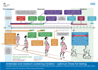 The Maternity Journey - Walsall Healthcare NHS Trust