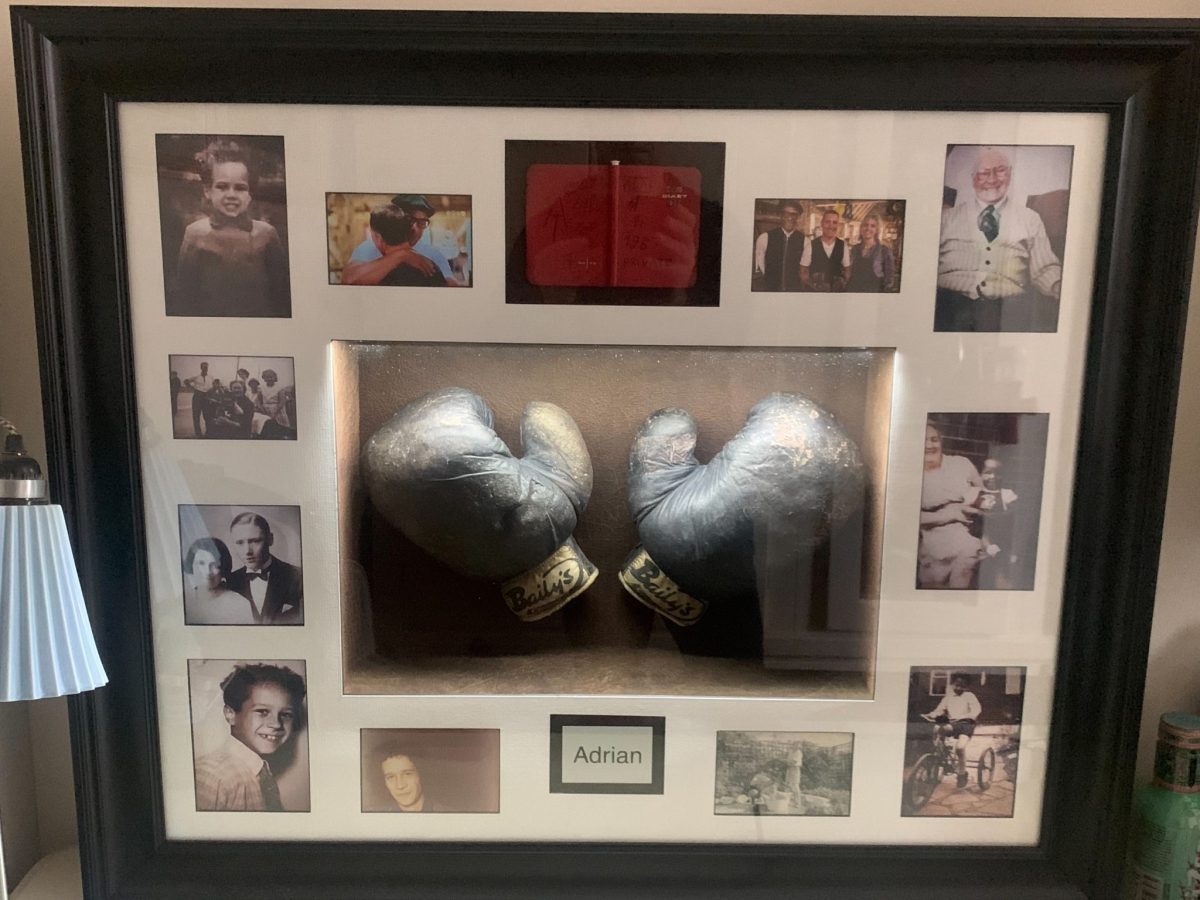 G-lovely story as Andy boxes clever for TV fame - Walsall Healthcare ...