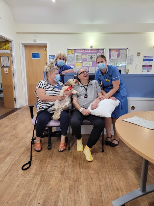 Round of ap-paws for Henry! - Walsall Healthcare NHS Trust