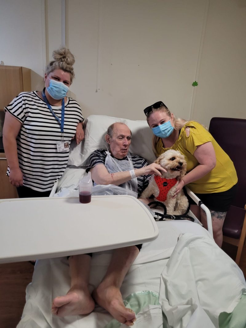 Round of ap-paws for Henry! - Walsall Healthcare NHS Trust