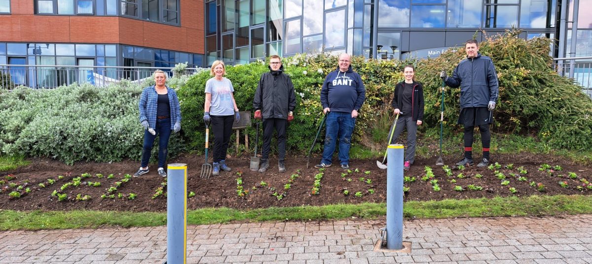 Bank on Well Wishers’ garden to bloom - Walsall Healthcare NHS Trust