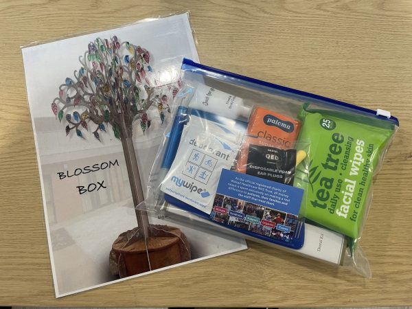 End-of-life relative comfort packs - Walsall Healthcare NHS Trust