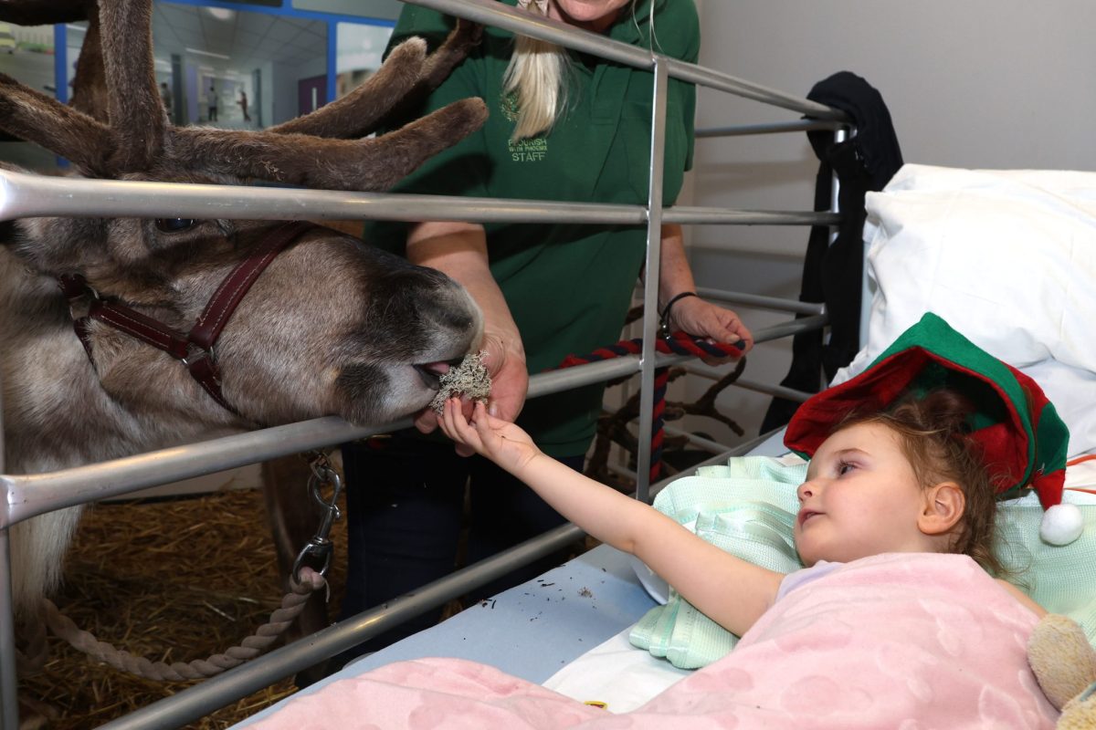 Visit from Santa and his reindeer - Walsall Healthcare NHS Trust