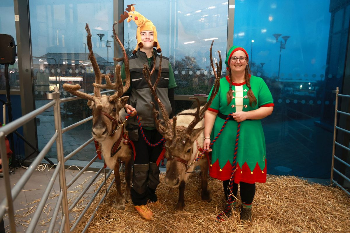 Festive Friday lights up the Manor - Walsall Healthcare NHS Trust